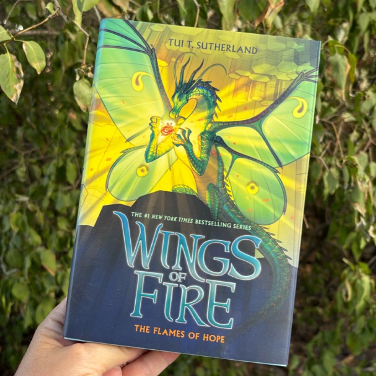 The Flames of Hope by Tui T. Sutherland
