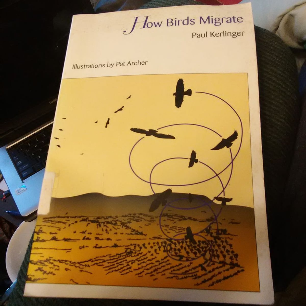 How Birds Migrate by Paul Kerlinger