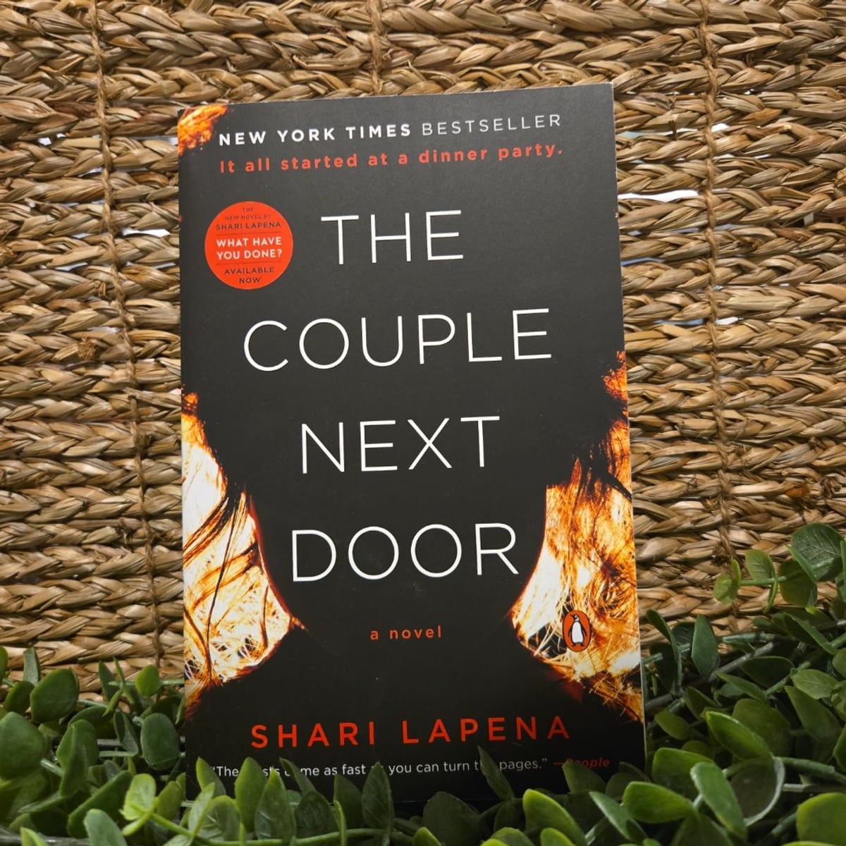 Couple Next Door Book