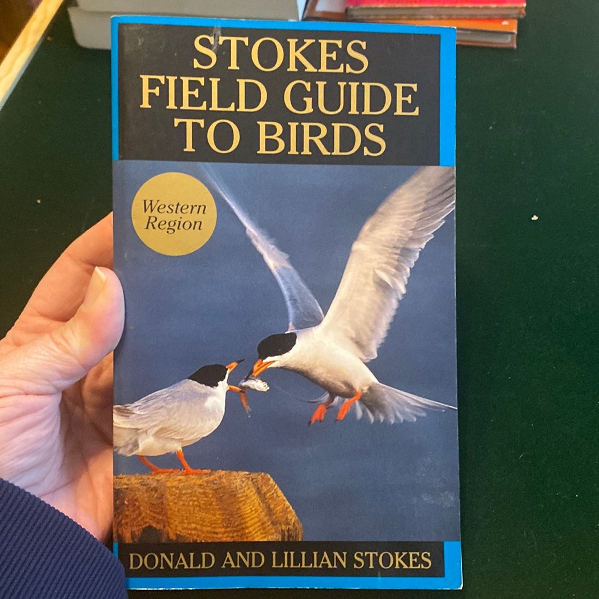 Stokes Field Guide to Birds by Lillian Q. Stokes, Donald Stokes