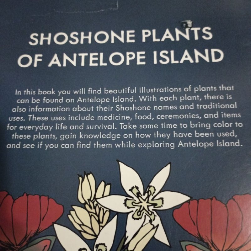 Shoshone Plants of Antelope Island Coloring Book by Rios Pacheco ...