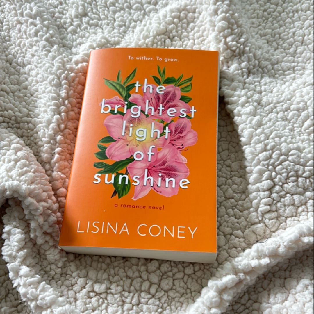 Brightest Light of Sunshine by Lisina Coney