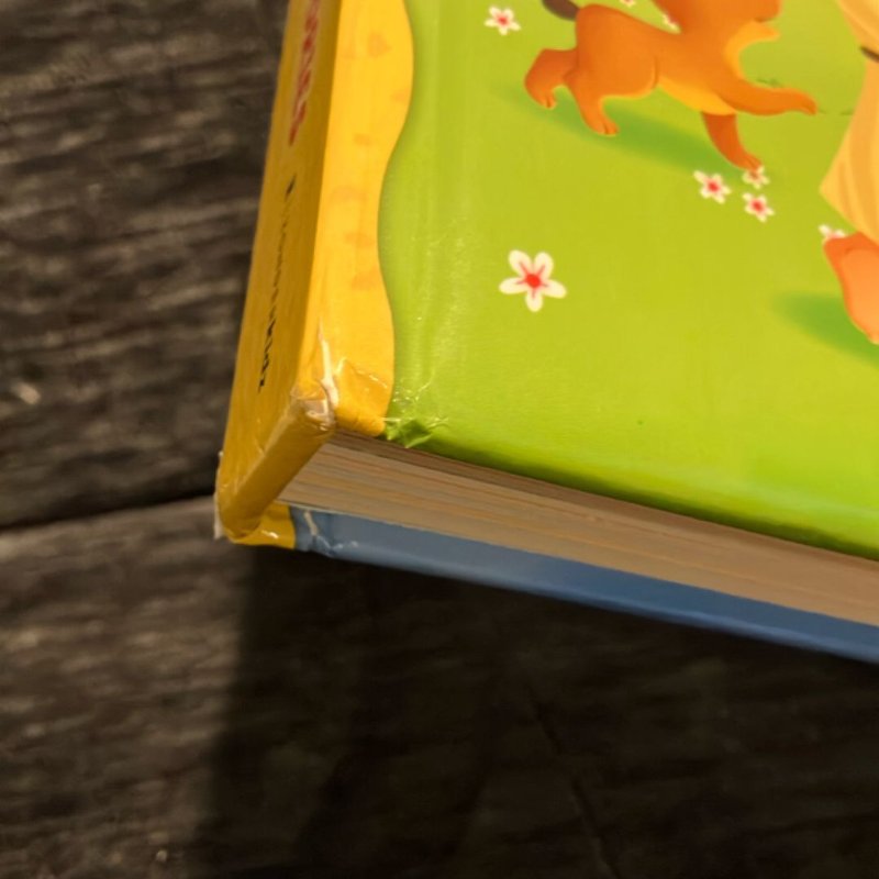 Ready, Set, Find Bible Stories by Guy David Stancliff
