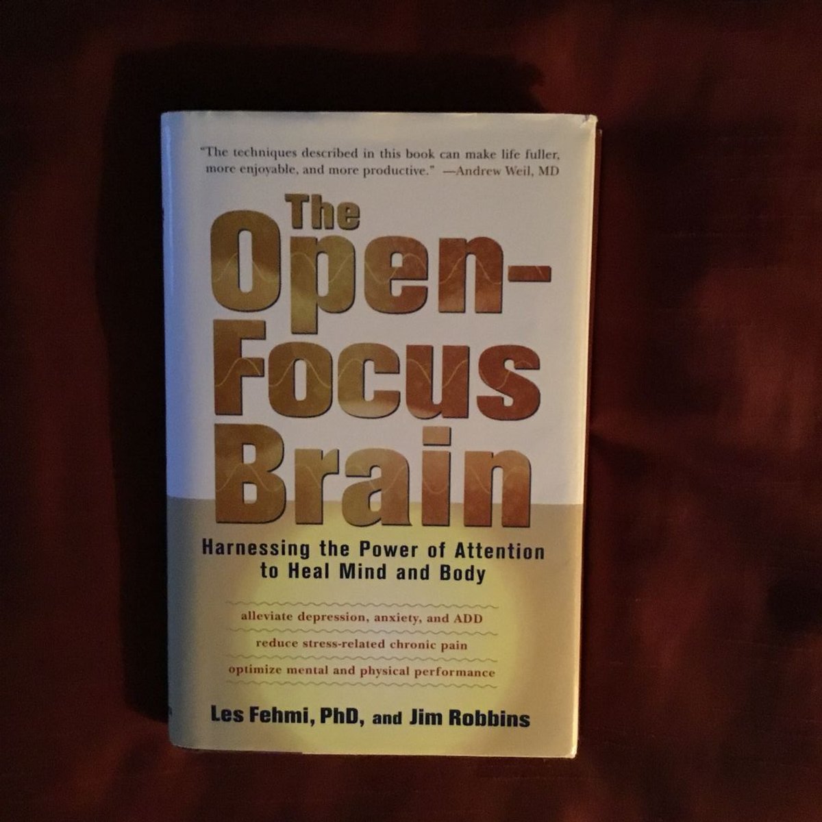 The Open-Focus Brain by Les Fehmi, Jim Robbins