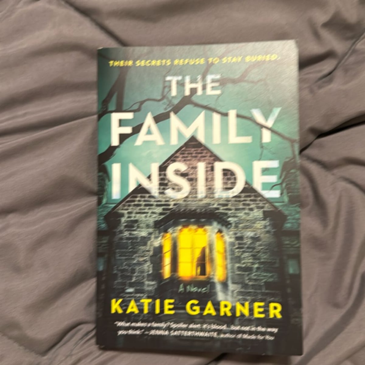 The Family Inside by Katie Garner