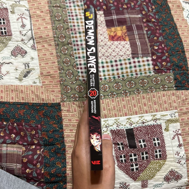 Demon Slayer: Kimetsu No Yaiba, Vol. 20