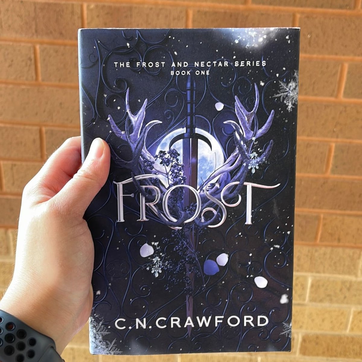 Frost by C. N. Crawford
