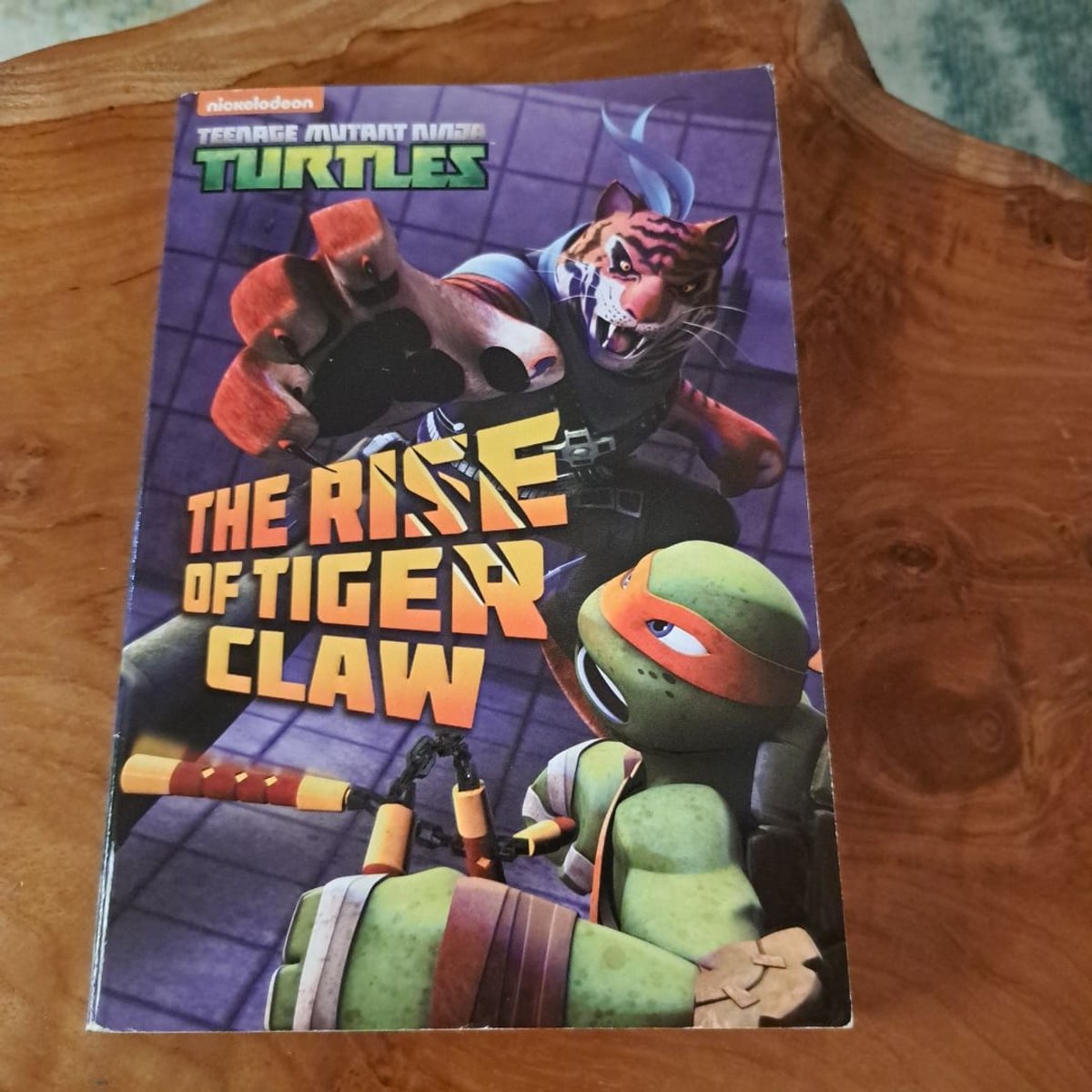 The Rise of Tiger Claw (Teenage Mutant Ninja Turtles) by David Lewman