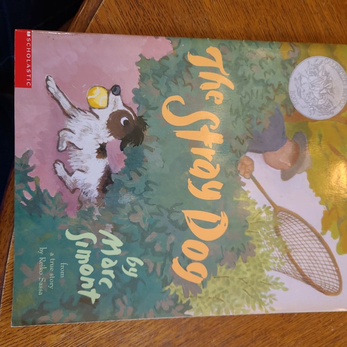 The Stray Dog by Marc Simont, Paperback | Pangobooks