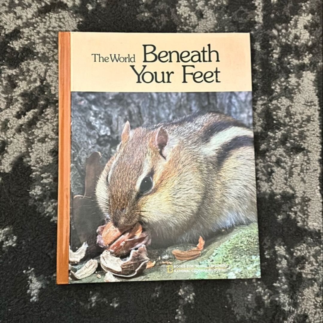 The World Beneath Your Feet by Judith E. Rinard