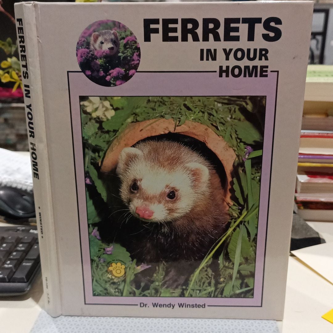 Ferrets in Your Home by Wendy Winsted, Hardcover | Pangobooks