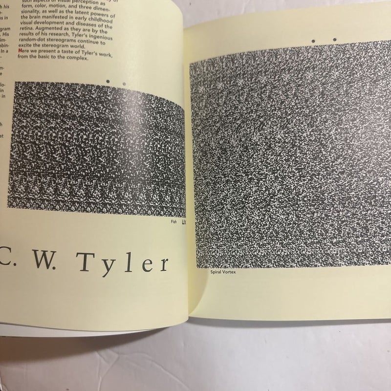 Stereogram by Christopher W. Tyler, Howard Rheingold
