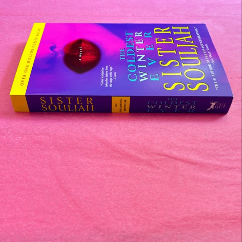 The Coldest Winter Ever by Sister Souljah