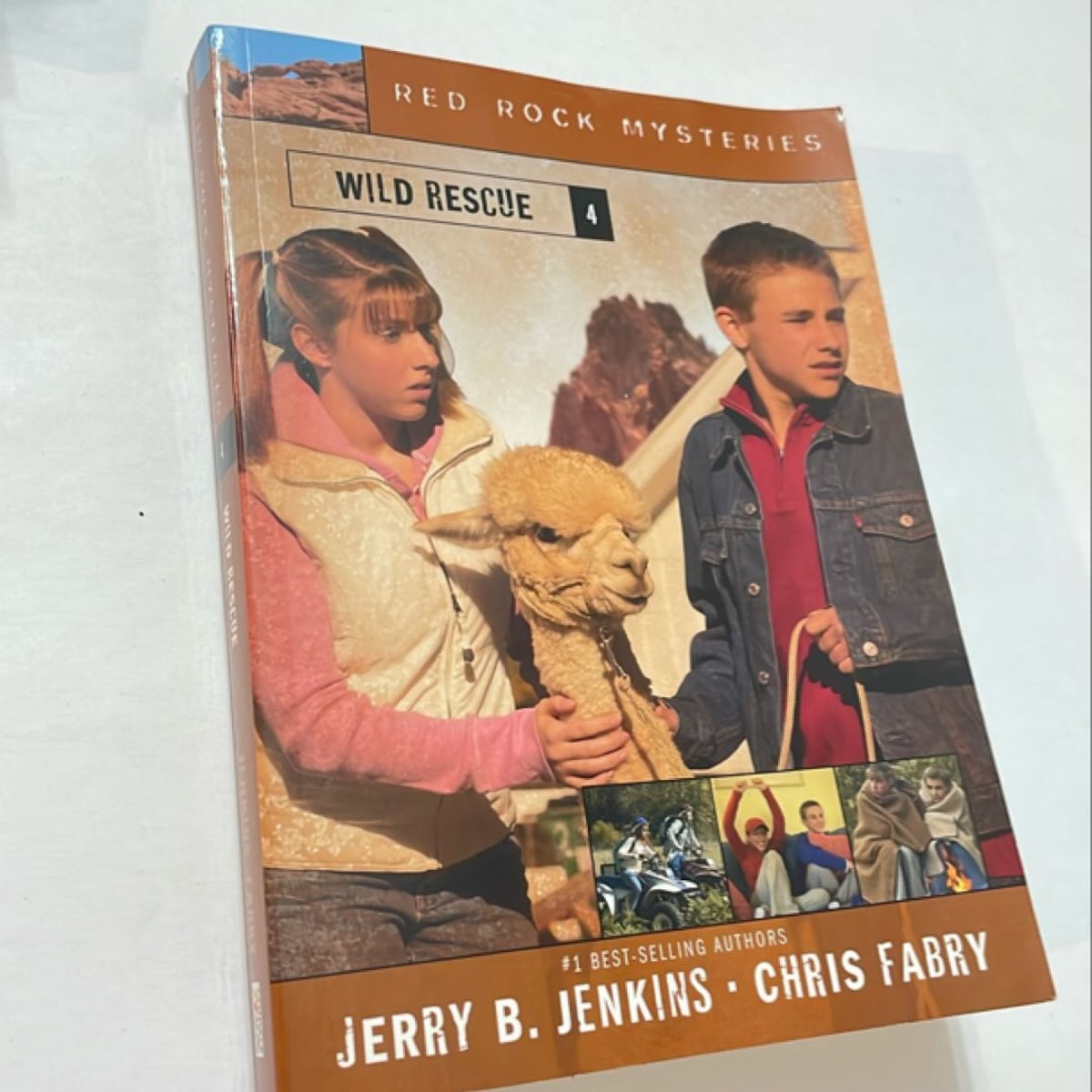 Wild Rescue by Jerry B. Jenkins, Chris Fabry