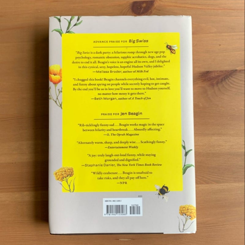 Big Swiss by Jen Beagin, Hardcover | Pangobooks