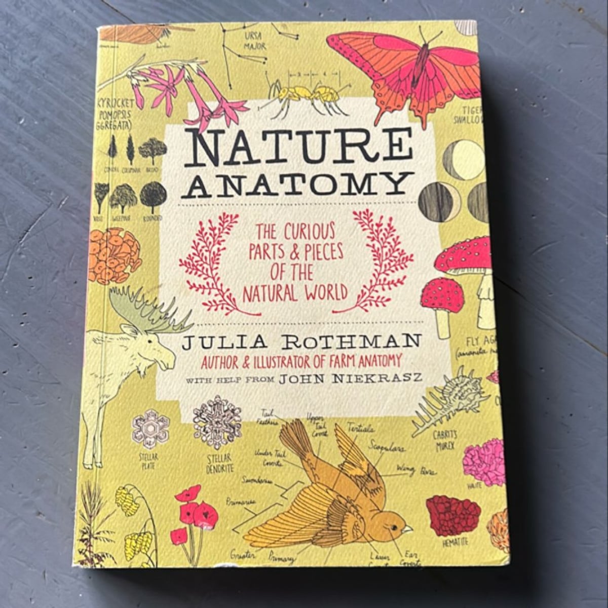 Nature Anatomy by Julia Rothman