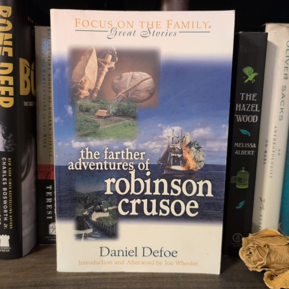 The Farther Adventures of Robinson Crusoe by Daniel Dafoe, Joe L. Wheeler