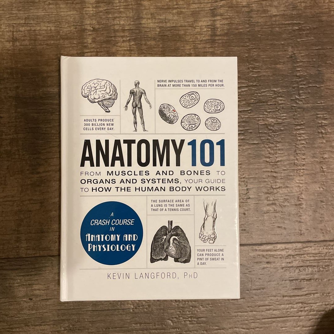 Anatomy 101