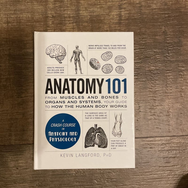 Anatomy 101 Anatomy 101