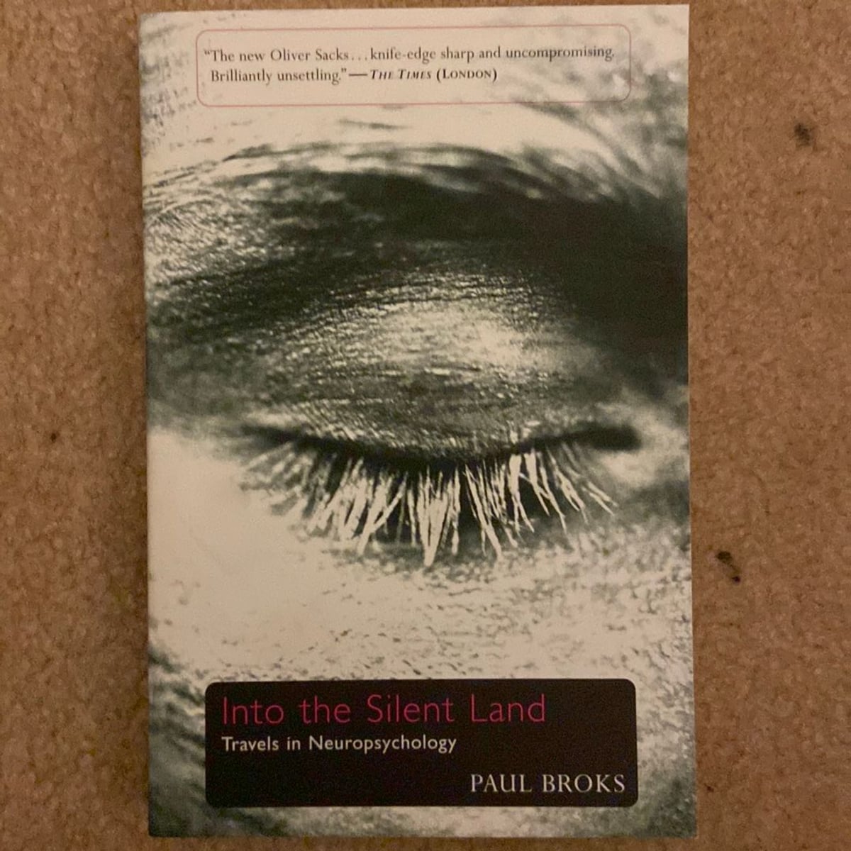 Into the Silent Land by Paul Broks, Paperback | Pangobooks