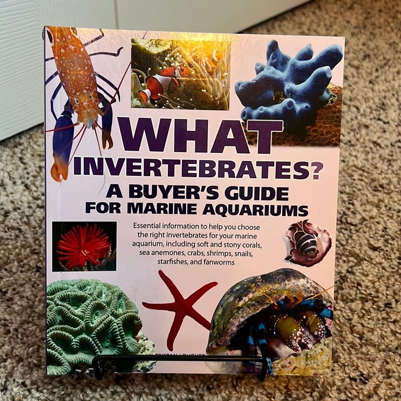 What Invertebrates? by Tristan Lougher