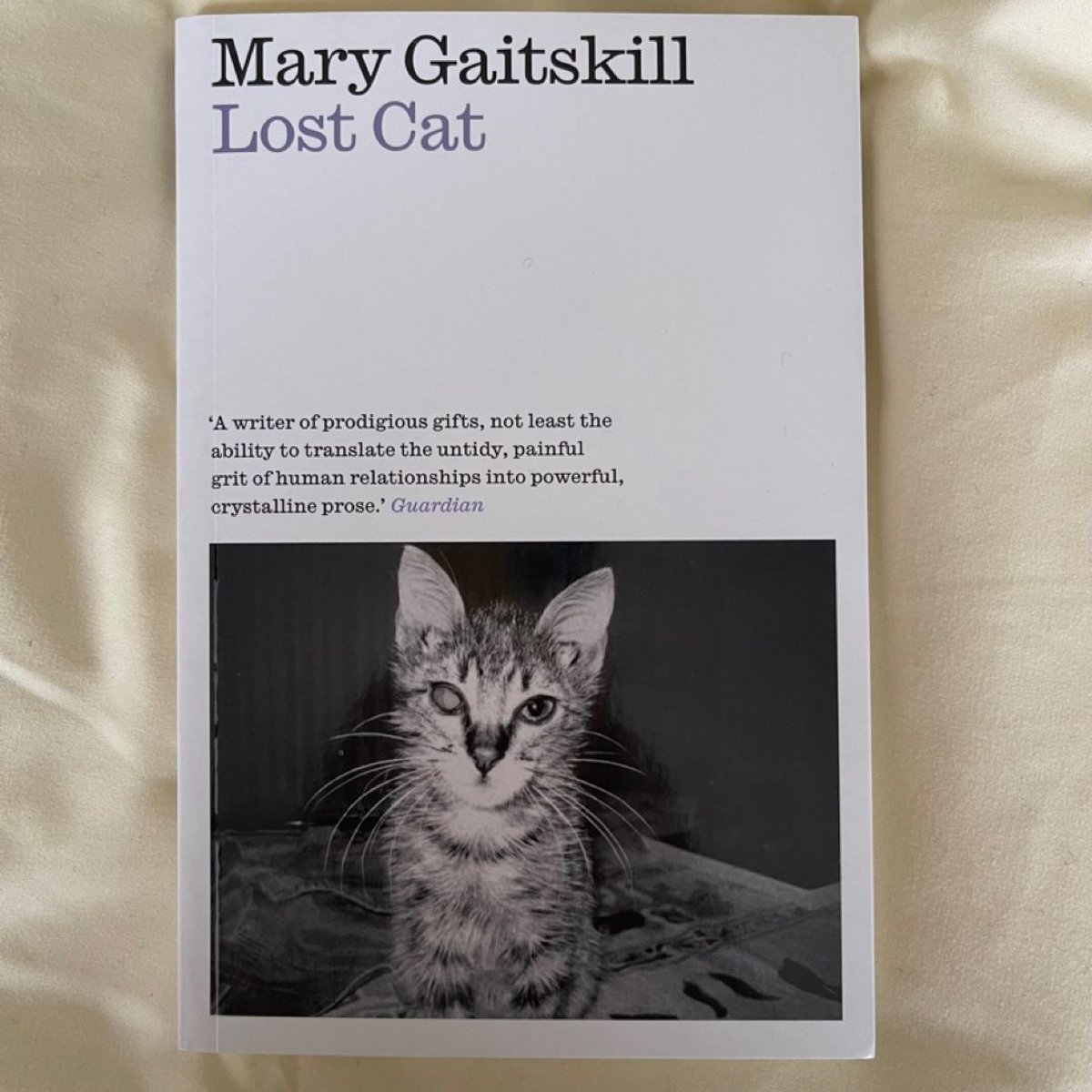 Lost Cat by Mary Gaitskill