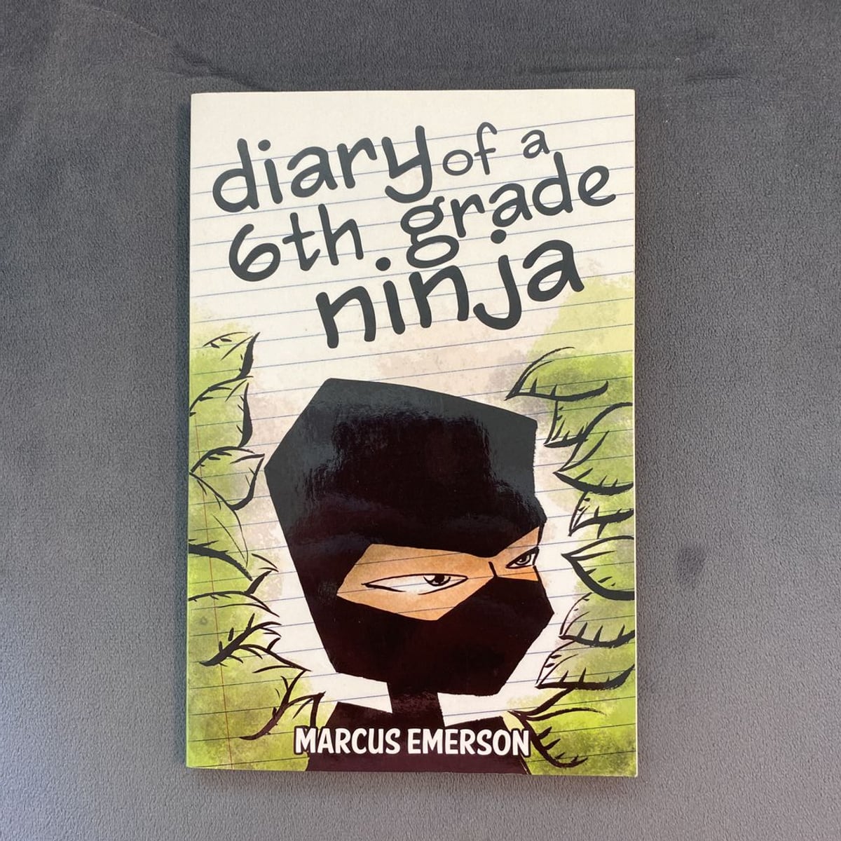 Diary of a 6th Grade Ninja by Marcus Emerson, Sal Hunter, Noah Child
