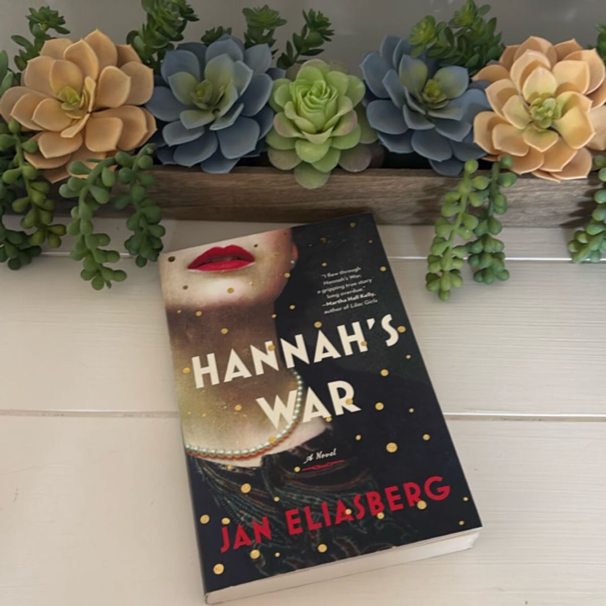 Hannah's War by Jan Eliasberg, Paperback | Pangobooks