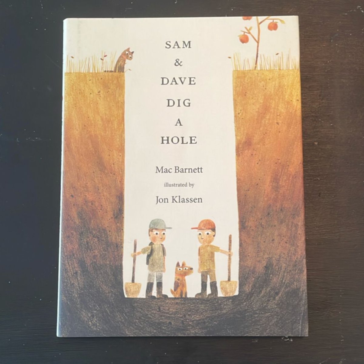 Sam and Dave Dig a Hole by Mac Barnett