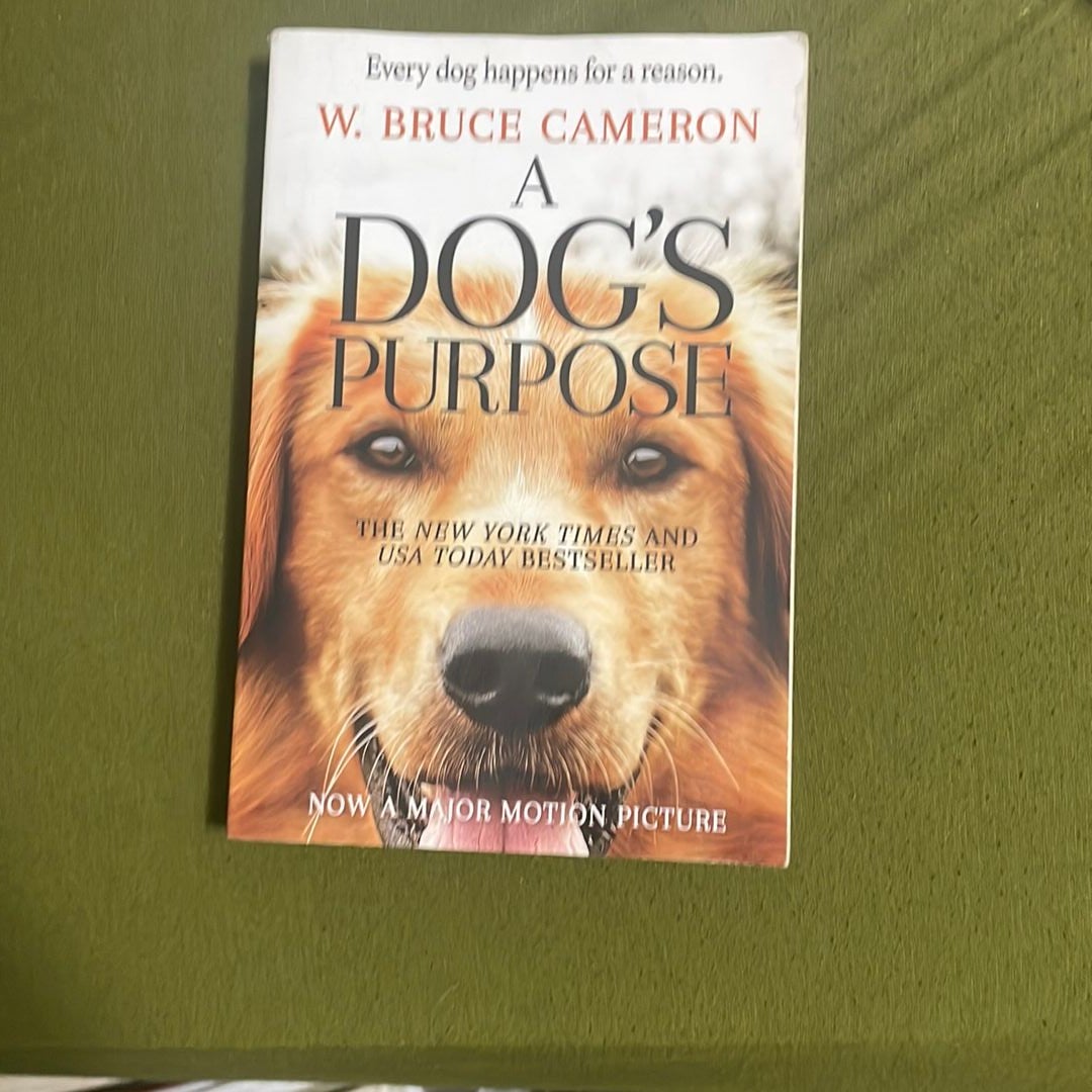 A dogs purpose by Bruce Cameron , Paperback | Pangobooks