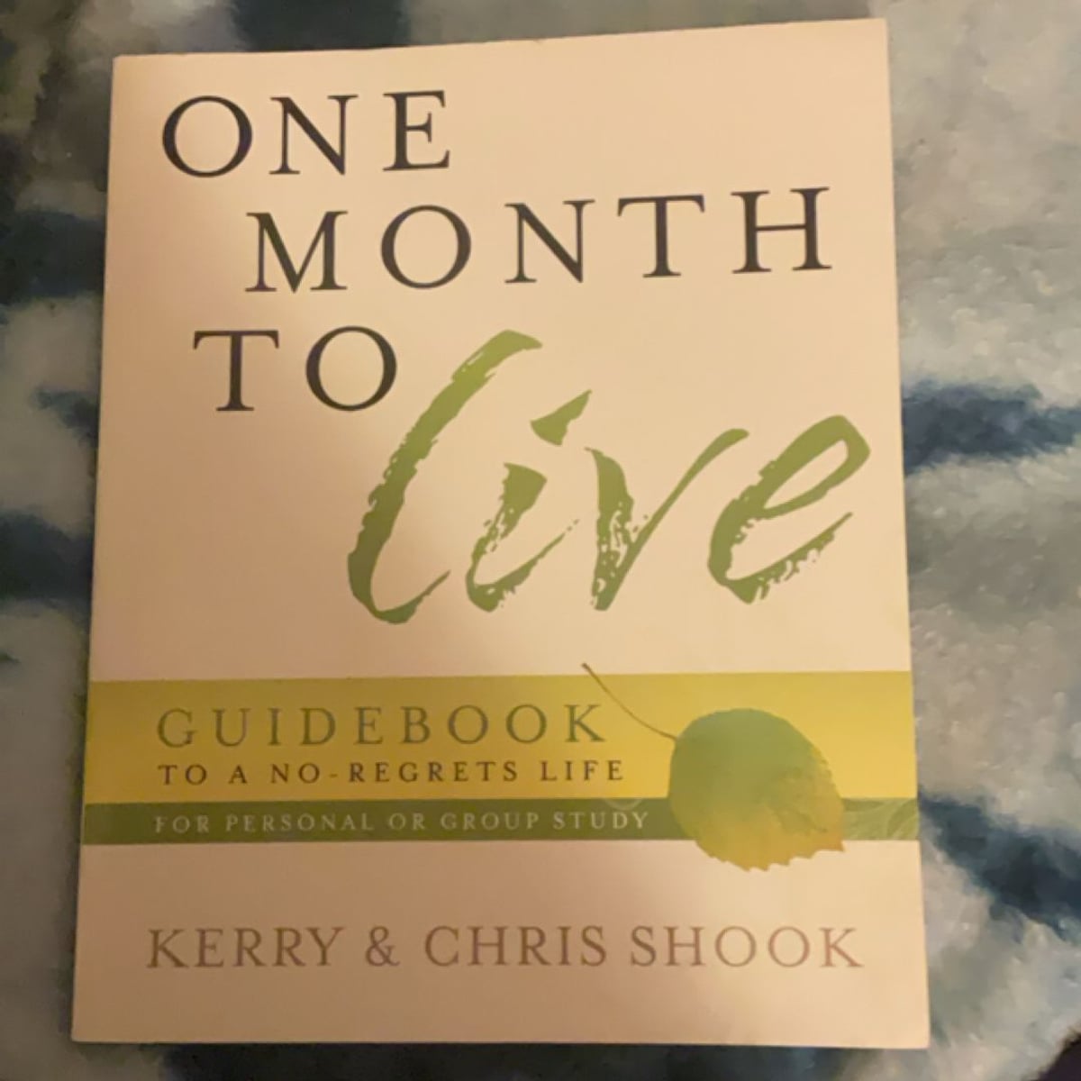 One Month to Live Guidebook by Kerry Shook, Chris Shook