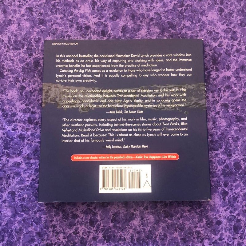 Catching the Big Fish by David Lynch