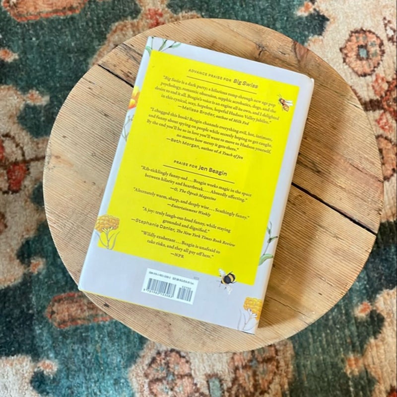 Big Swiss by Jen Beagin, Hardcover | Pangobooks