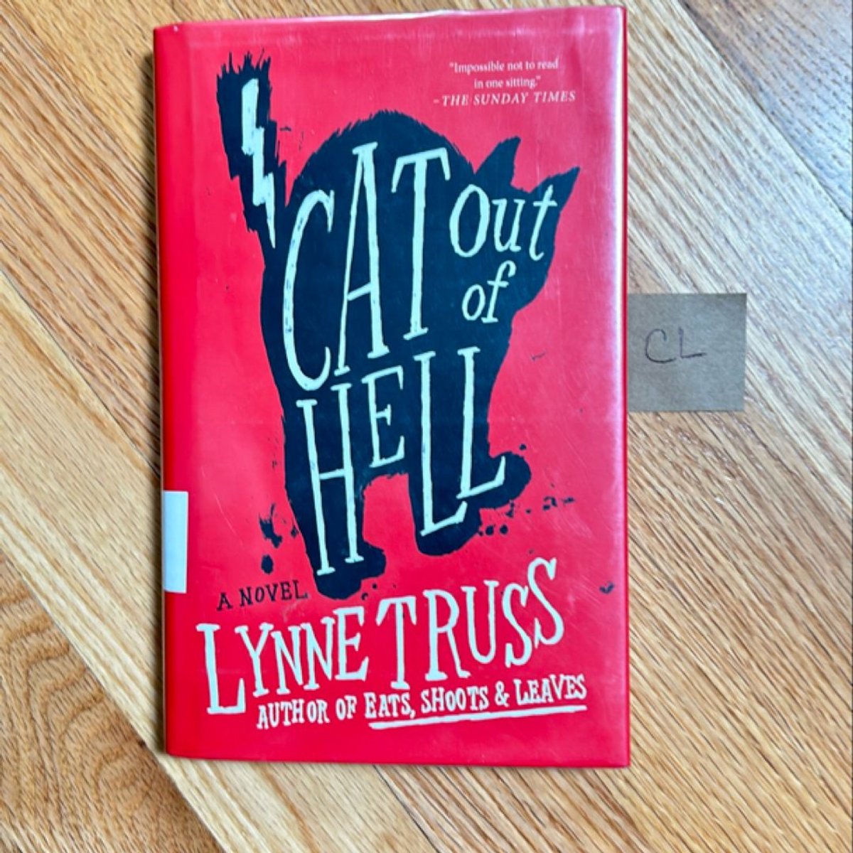 Cat Out of Hell by Lynne Truss