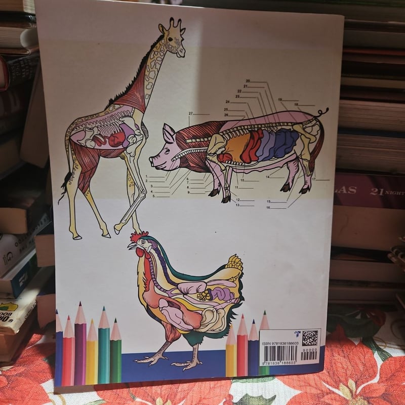 Veterinary Anatomy Coloring Book by Anatomy Academy