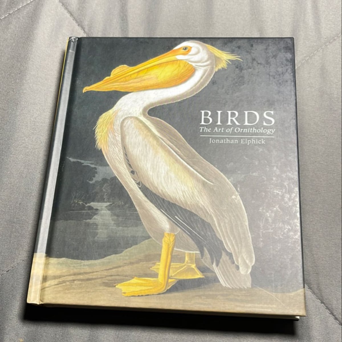 Birds The Art of Ornithology by Elphick, Hardcover | Pangobooks