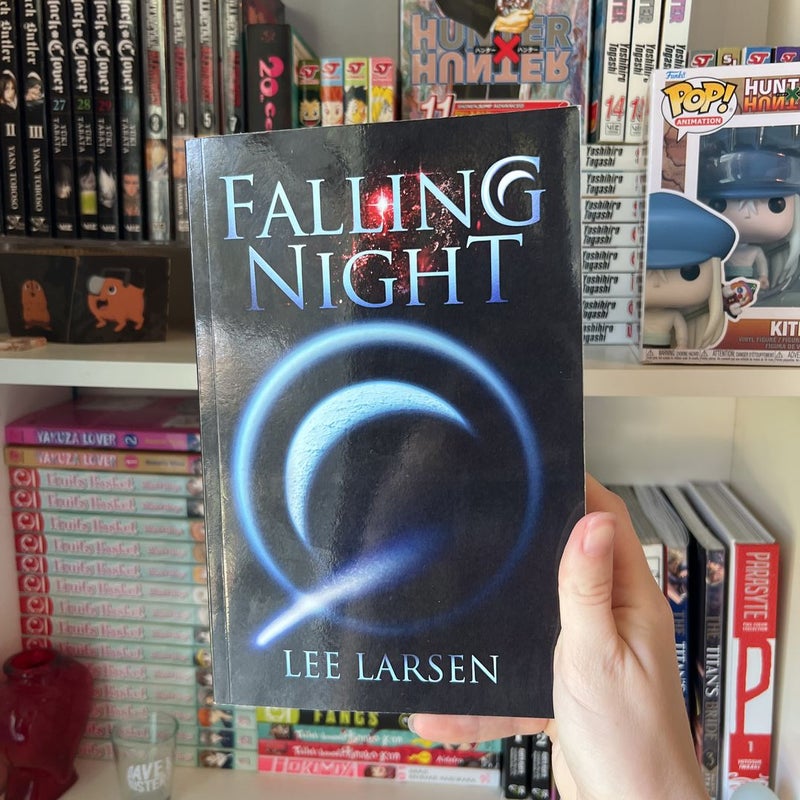 Falling Night by Lee Larsen