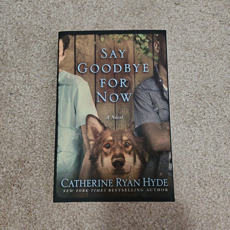 Say Goodbye for Now by Catherine Ryan Hyde