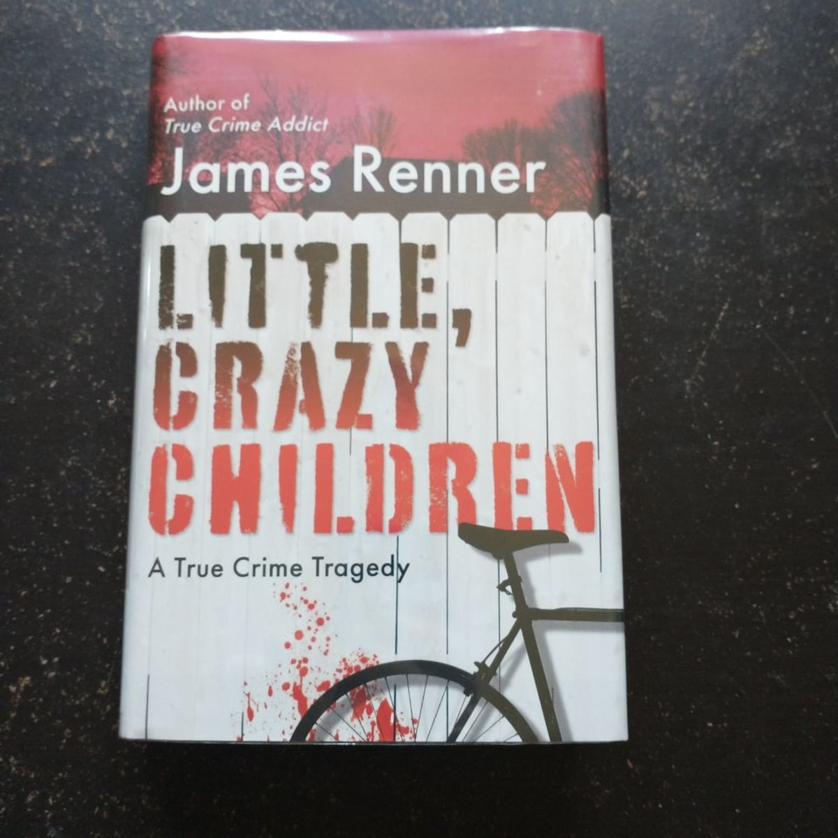 Little, Crazy Children by James Renner