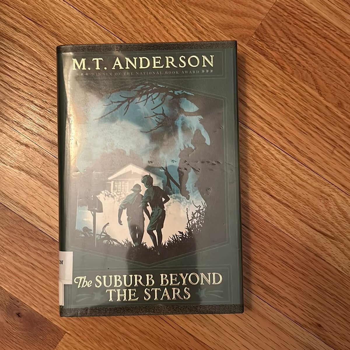 The Suburb Beyond the Stars by M. T. Anderson