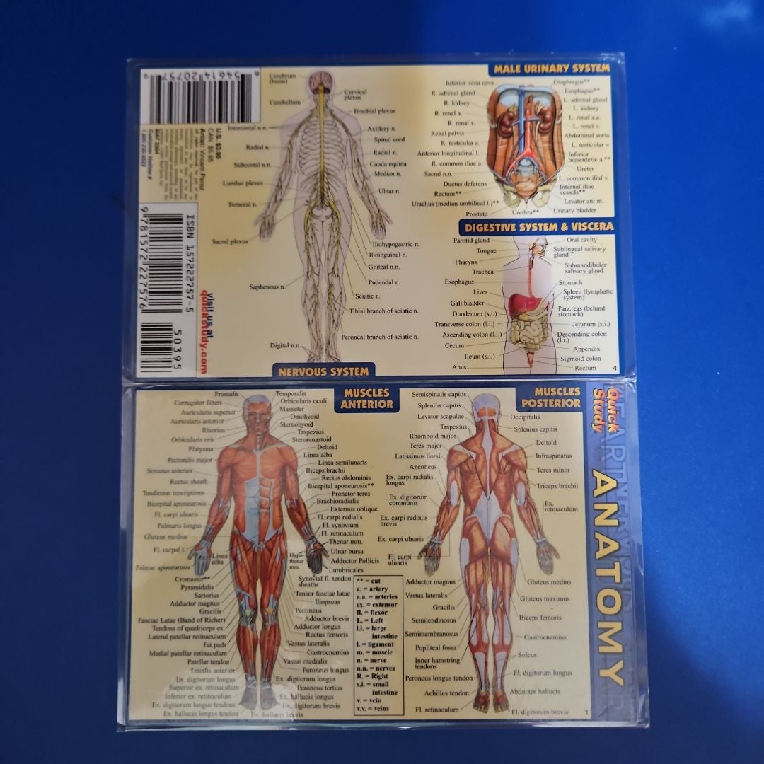 Anatomy - Pocket-Sized Reference Guide (4 X 6) by Vincent Perez