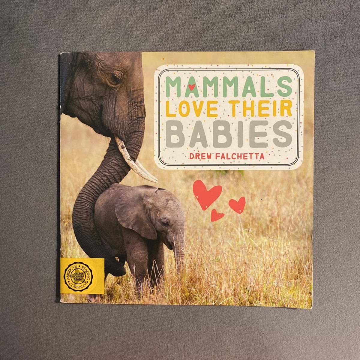 Mammals Love Their Babies by Drew Falchetta