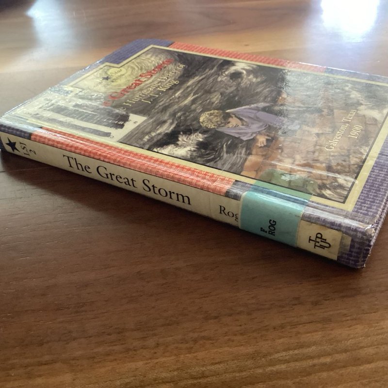 The Great Storm by Lisa Waller Rogers