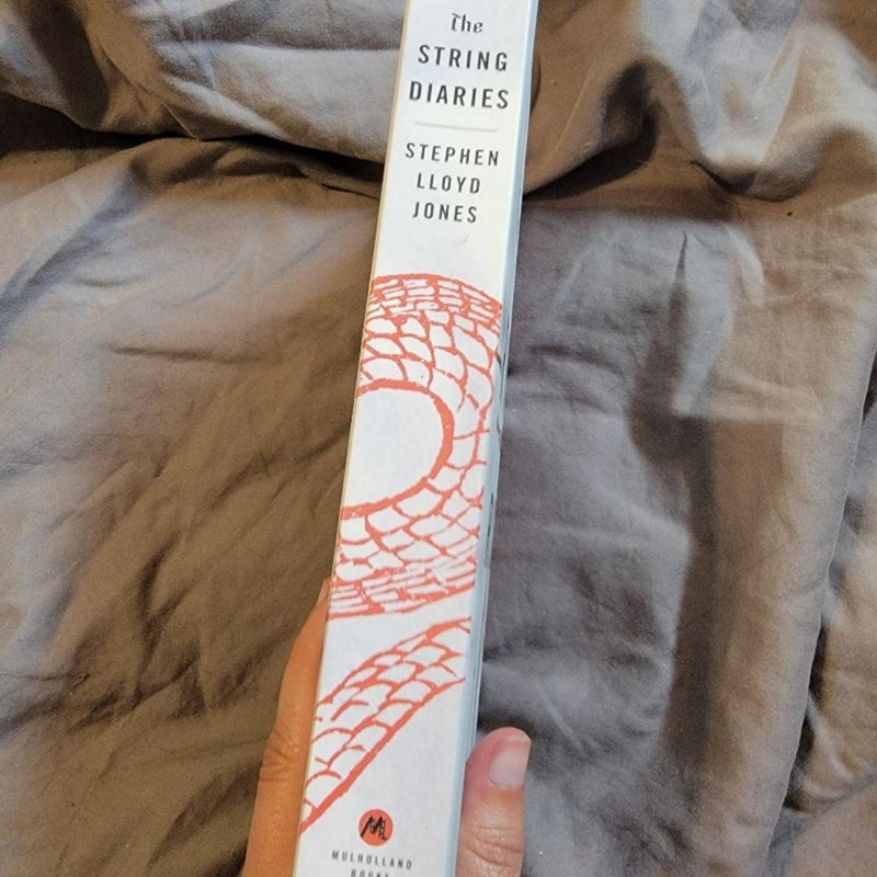 The String Diaries by Stephen Lloyd Jones, Paperback | Pangobooks