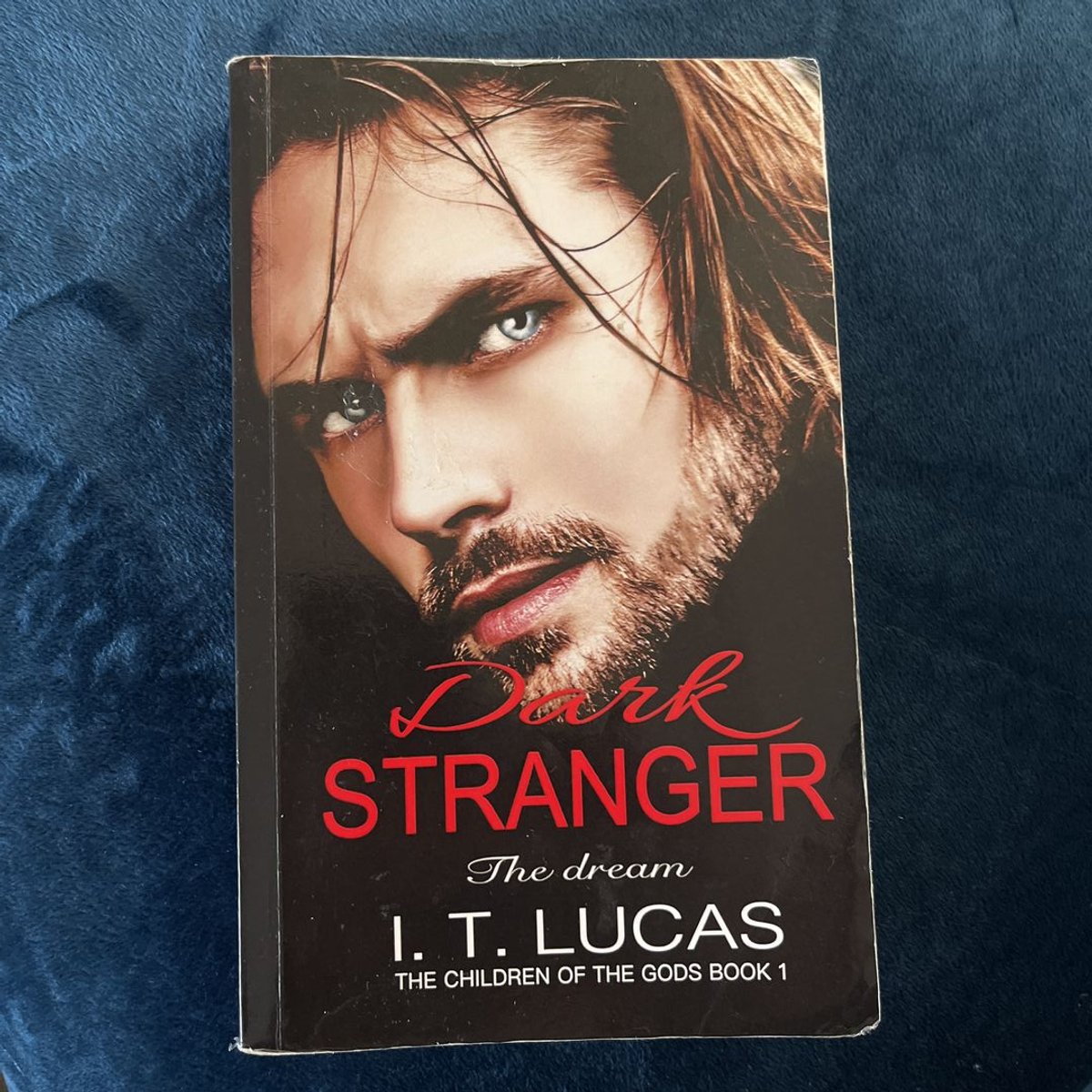 Dark Stranger the Dream by I. Lucas