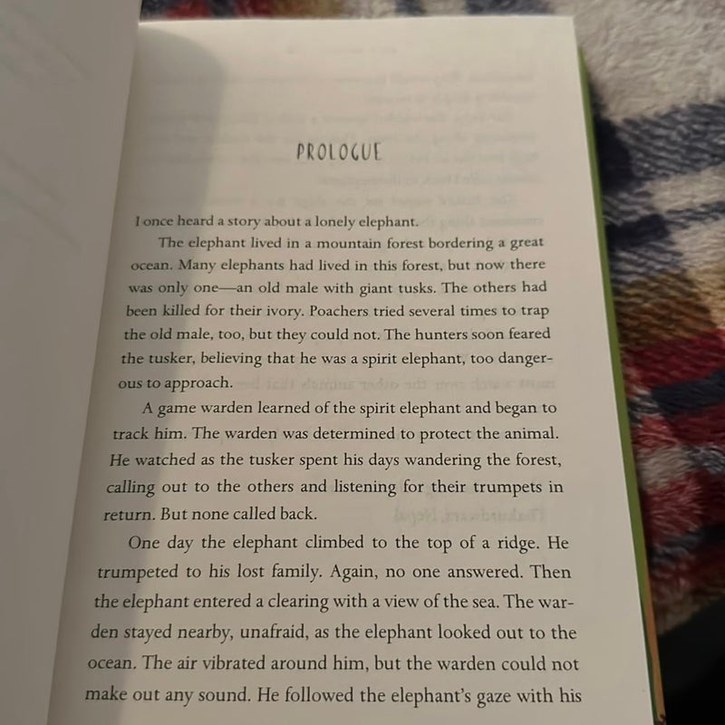 A Circle of Elephants by Eric Dinerstein, Hardcover | Pangobooks