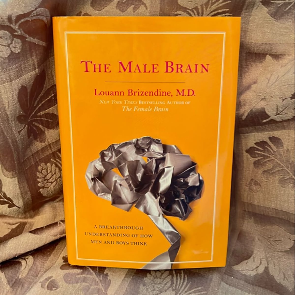 The Male Brain by Louann Brizendine
