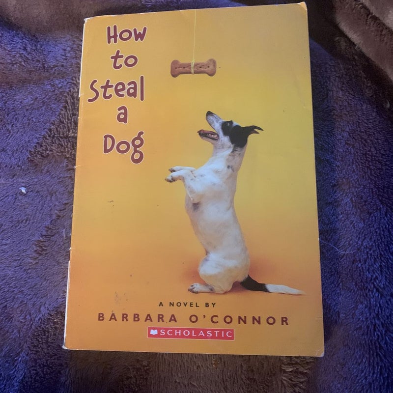How to Steal a Dog by Barbara O'Connor , Hardcover | Pangobooks