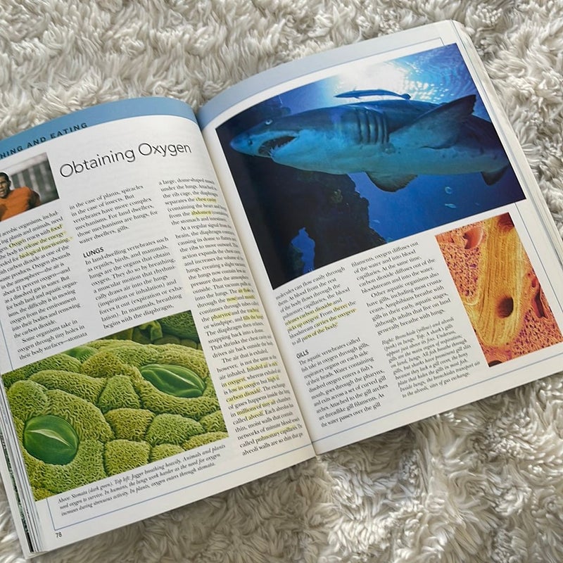 Science 101: Biology by George Ochoa