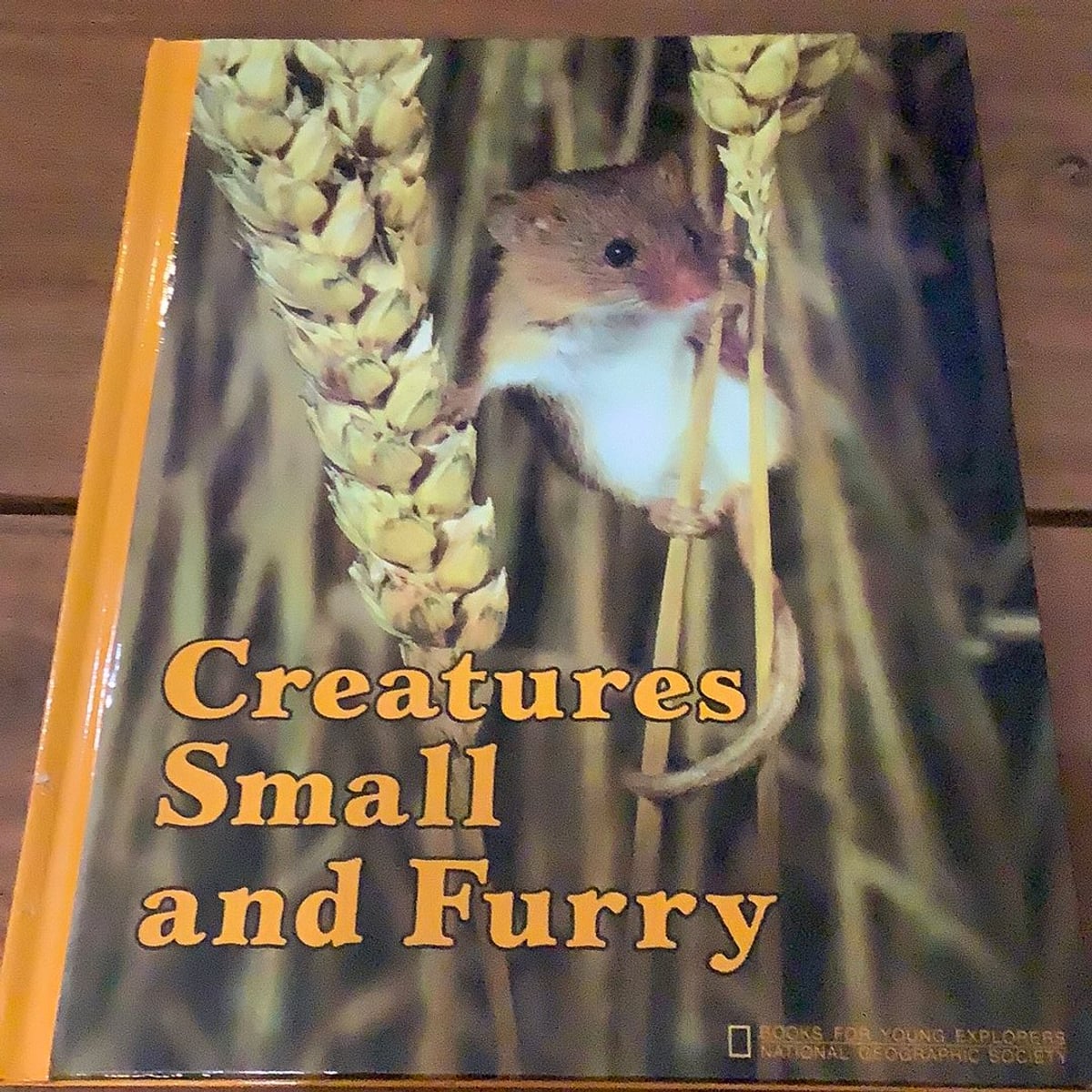 Creatures Small and Furry by Natgeo , Hardcover | Pangobooks
